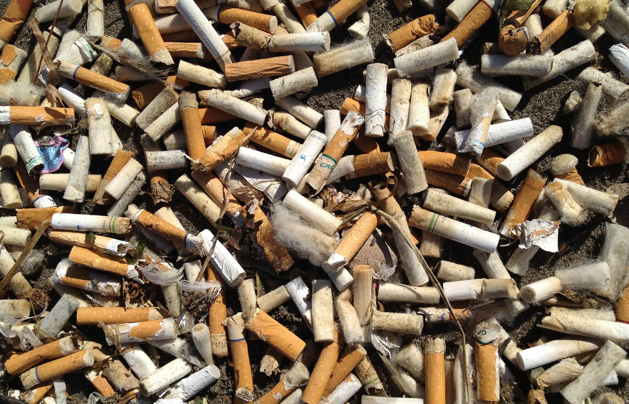 M gots De Cigarettes La Plus Grande Source De D chets Des Oc ans m-gots-de-cigarettes-la-plus-grande-source-de-d-chets-des-oc-ans